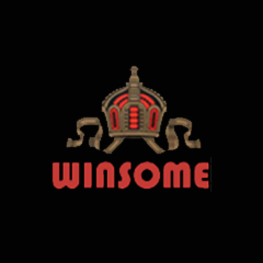 WINSOME BREWERIES LTD Share Price Today - Live WINSOMBR Stock Price for ...
