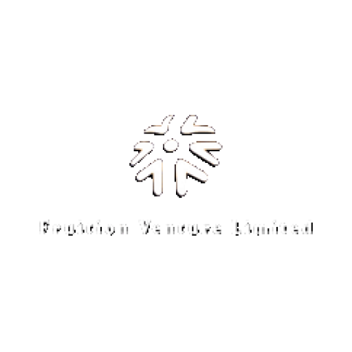 FRUITION VENTURE LTD Share Price Today - Live FRUTION Stock Price for ...