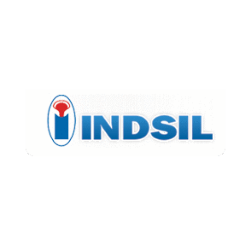 INDSIL HYDRO POWER AND MANGANE Share Price Today - Live INDSILHYD Stock ...