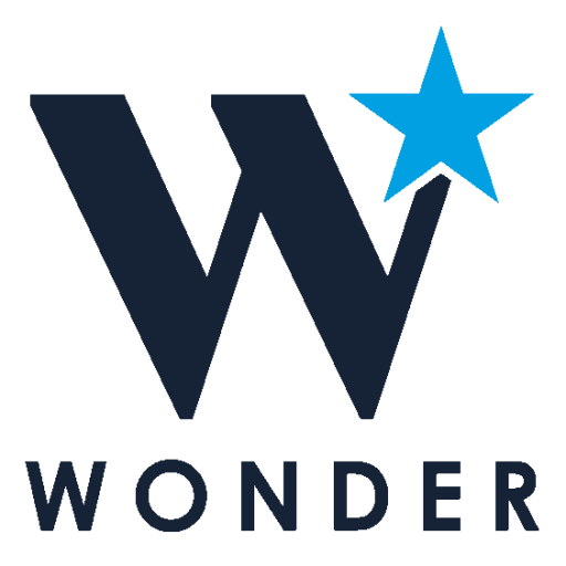 WONDER ELECTRICALS LTD Share Price Today - Live WONDER ELECTRICALS LTD ...