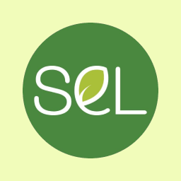 SEL MANUFACTURING CO LTD Share Price Today - Live SELMC Stock Price for ...
