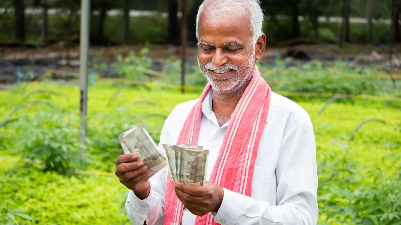 Kisan credit card rules revised: RBI issues final framework for all banks