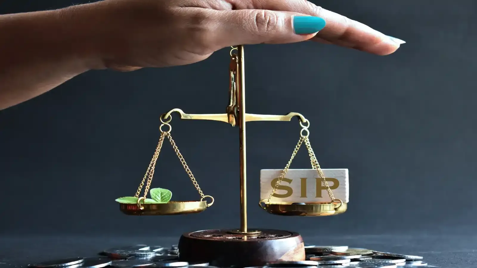 ₹10,000 SIP to ₹31 Lakh: Large & mid-cap funds outpace benchmarks over ...