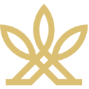 Agrify Corporation Share Price Today - Live NASDAQ: AGFY Stock Price ...