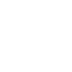 Arista Networks Share Price Today - Live NYSE: ANET Stock Price Charts ...
