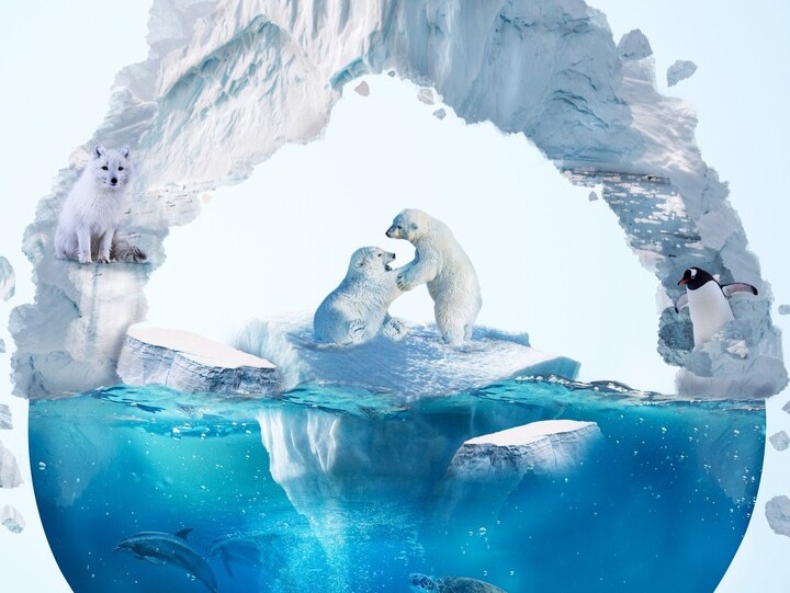 Lost world: Hidden ecosystem under Antarctica