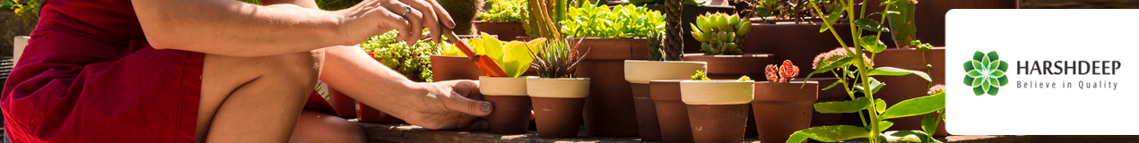 Harshdeep Hortico Limited IPO - Details: Harshdeep Hortico Limited IPO date, Share Price, Lot ...